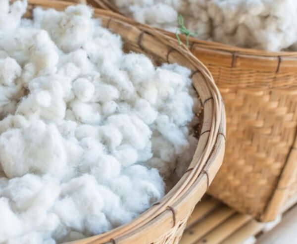 Environment – MAPLE BC